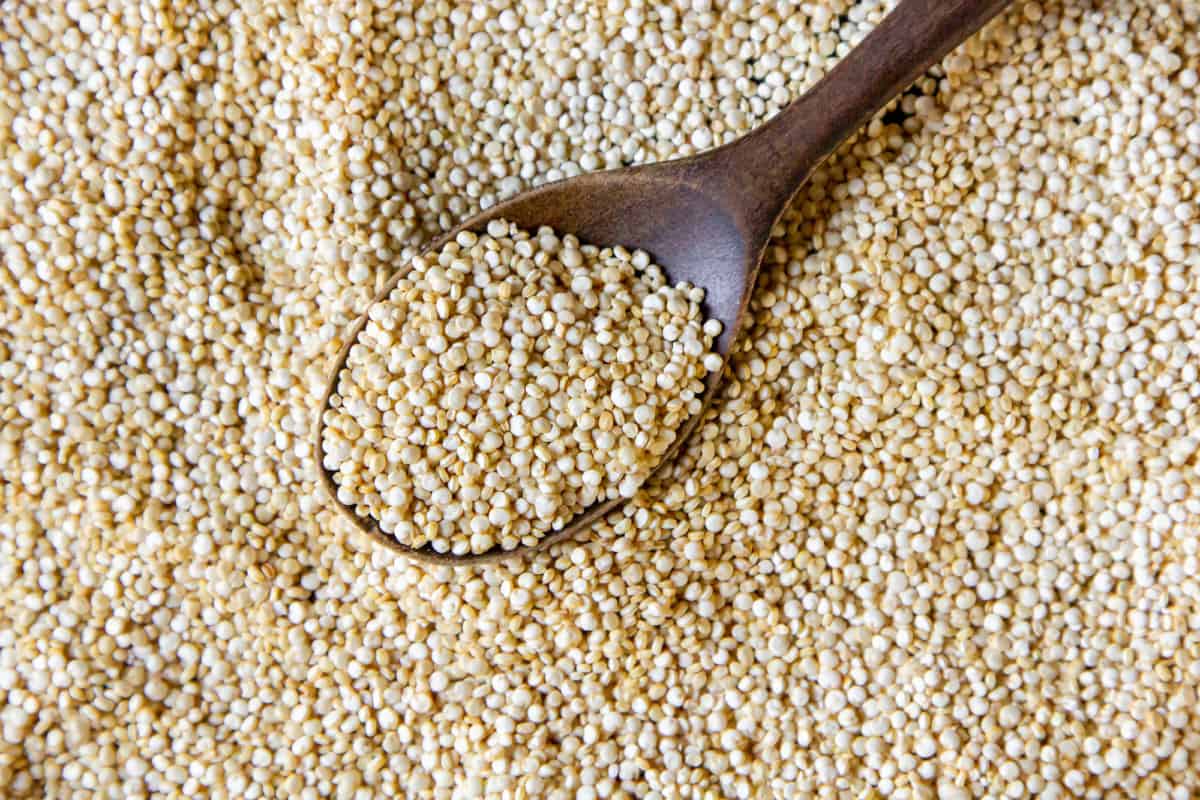Amaranto: Propiedades y beneficios para la salud - Comedera - Recetas ...